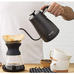 brim Temperature Control Electric Gooseneck Kettle with Capacitive Touch, Black