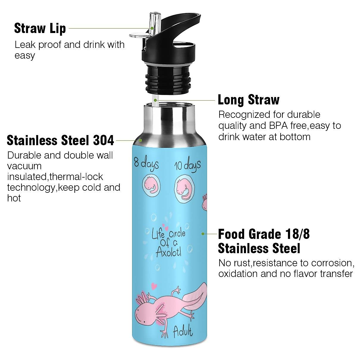 Glaphy Cute Funny Axolotl Blue Water Bottle with Straw Lid, BPA-Free, 32 oz Water Bottles Insulated Stainless Steel, for School, Office, Gym, Sports, Travel