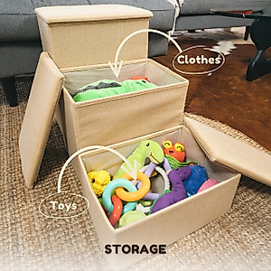 PET AWESOME Dog Stairs with Storage and Adjustable Steps for a Puppy, Small or Medium Dog