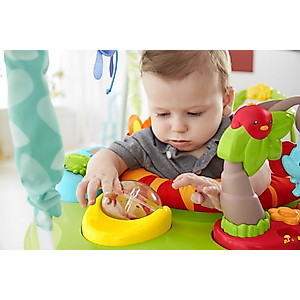 Fisher-Price Jumperoo: Roarin' Rainforest