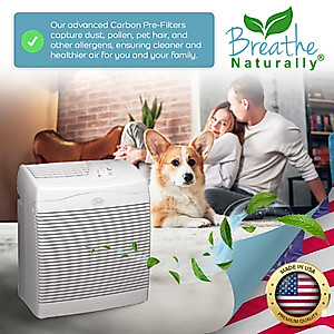 Breathe Naturally Replacement Carbon Pre-Filters Compatible with Hunter 30901, HEPAtech and QuietFlo Air Purifier - Activated Charcoal Filter Sheet - 16" x 30"x 0.2" (Pack of 2, Carbon Prefilters)