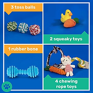 AMZpets 10 Dog Toys for Small Dogs and Puppies, Squeaky Dog Toys Rope Toys for Plush Games, with Chewing Ropes/Balls/Rubber Bone/Carry Bag, Variety Playing Toys Set for Toss and Tug Play