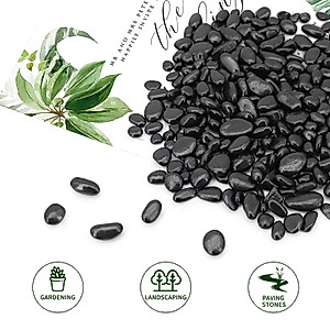 3.3 lb Black Rock, Decorative Polished Pebbles for Plants, Landscapes, Gardens, Fish Tanks, vase fillings, etc, 0.1 to 0.3 inches