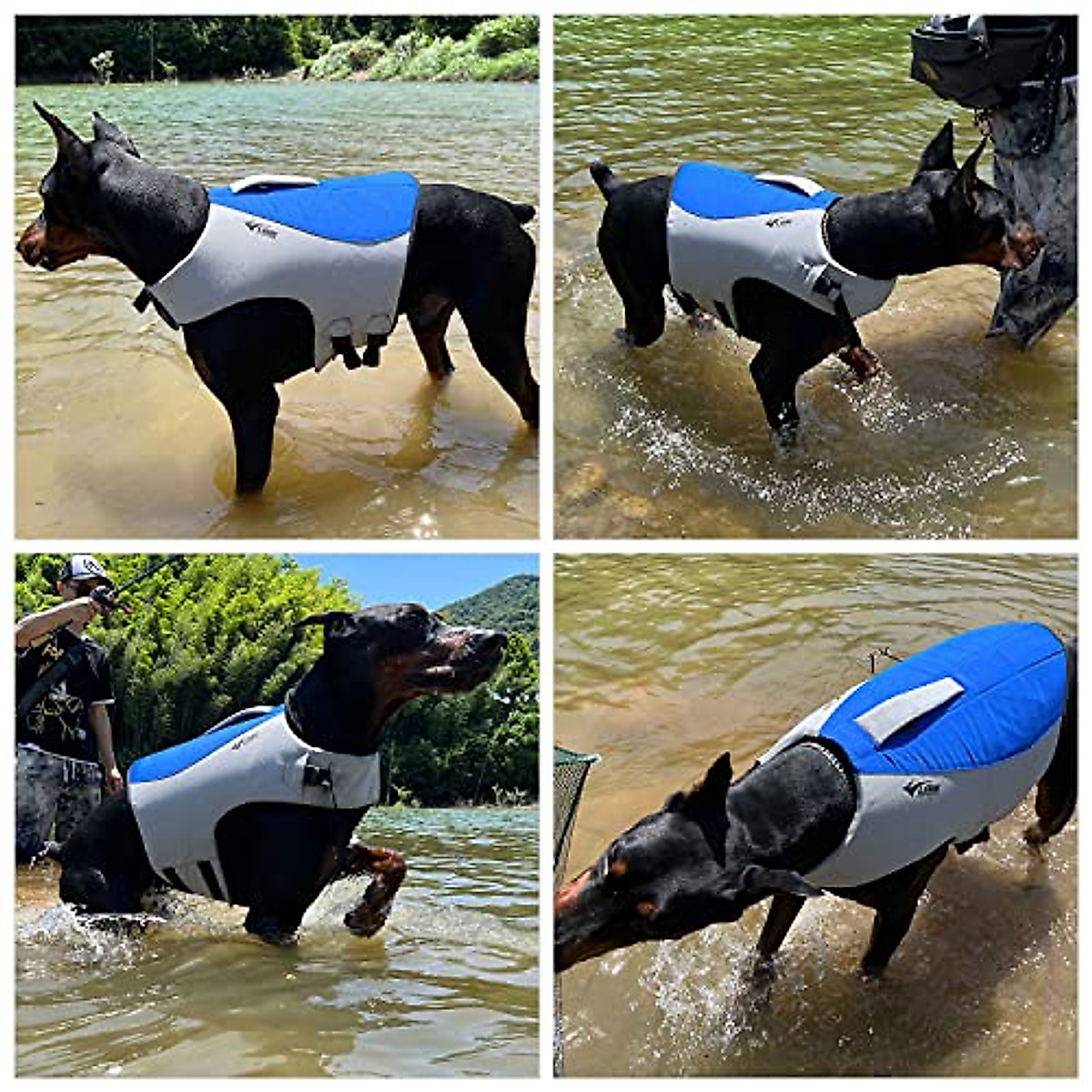 Dog Life Jacket, Sport Style Dog Float Coat with Excellent Buoyancy, Stylish Dog Swimming Safety Vest with Rescue Handle for Small Medium Large Dogs Blue M