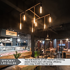 TIANSHQ LED Tube Bulbs,T10 Tubular Edison Style LED Filament Bulb, 12W Dimmable Antique LED Bulb,E26 Base,Clear Glass,Warm White,2700K,1000LM(75-100W Equivalent),11.8in,6Pack