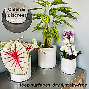 My Homeware Fix 15-Pack Clear Plastic Plant Pot Saucer - No Water Spills – Durable Drip Trays for Indoors, Outdoors – Saucers are 3 Sizes – 6, 8, 10 inches