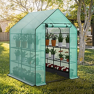Nova Microdermabrasion Walk-in Greenhouse for Outdoors, 57 x 57 x 77 inch, Portable PE Cover Greenhouse with Anchors and Ropes Indoor Outdoor-3 Tier 8 Wired Shelves Plant Gardening Hot House