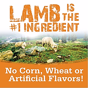 Nutri Source TU80021 14 oz Soft & Tender Lamb Treats for Dogs