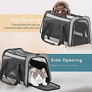 Petsfit Most Airline Approved Cat Carrier Dog Carriers Soft-Sided Pet Washable Travel Carrier for Puppies/Kittens/Rabbit,5-Sided Breathable mesh/Self-Lock Zippers