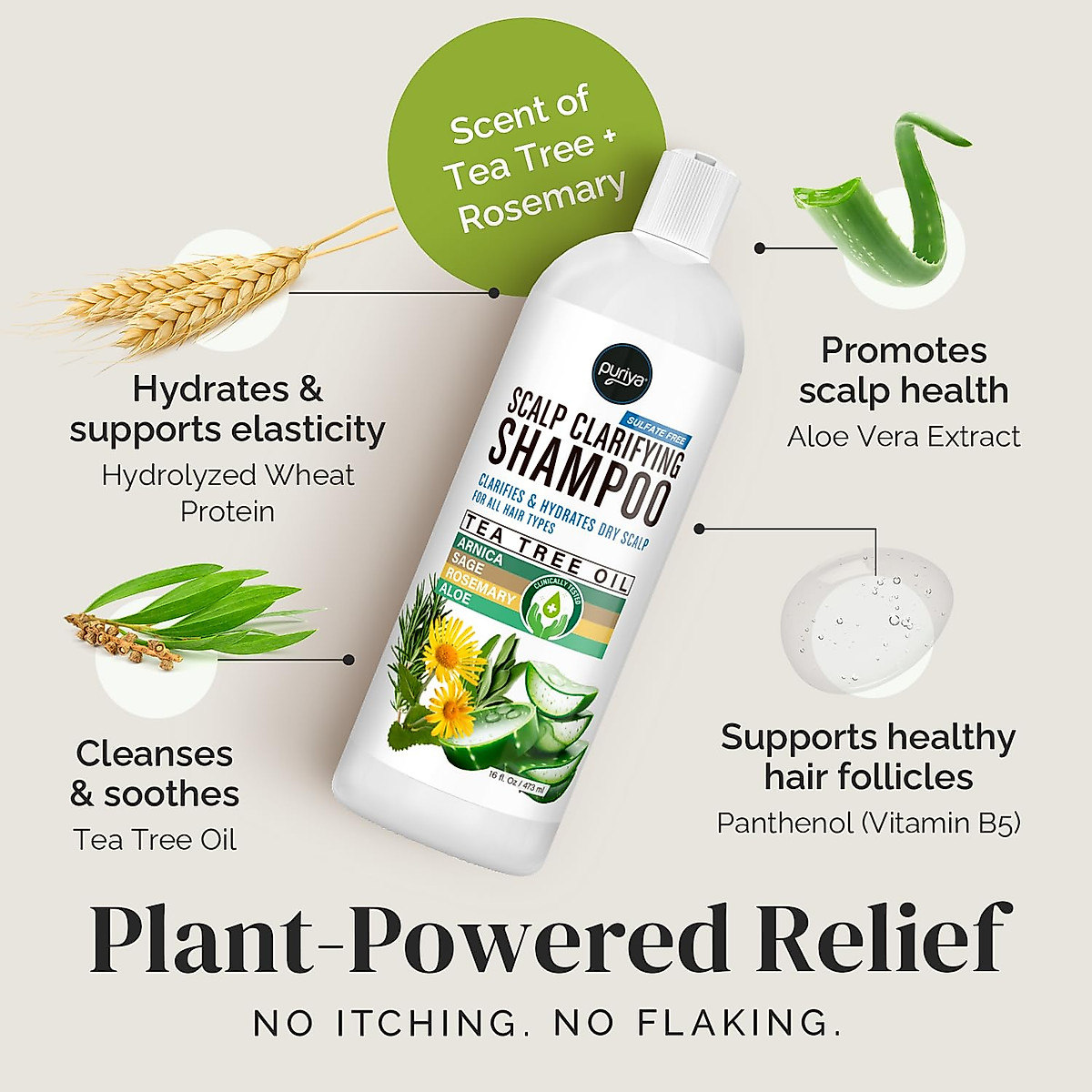 Puriya Tea Tree Clarifying Shampoo. Plant Rich Dry Itchy Scalp Relief, for Kids, Adults, Sulfate Free, No Harsh Chemicals Seen in Dandruff Treatment, Seborrheic Dermatitis, Psoriasis Shampoo, 16 oz