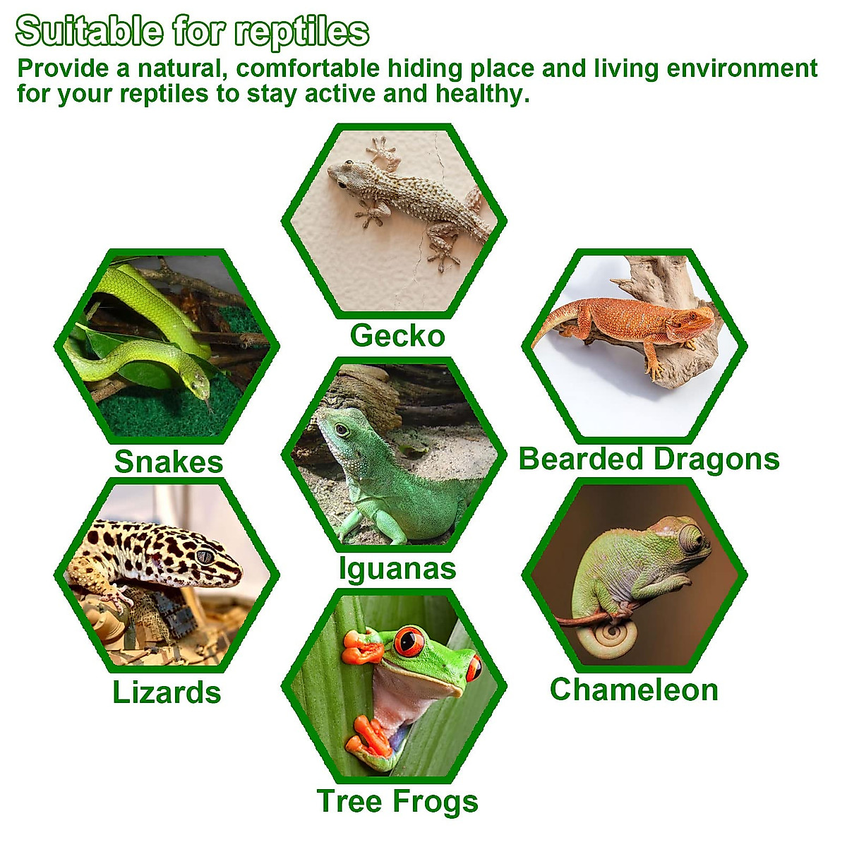 kathson Reptile Corner Branch Tank Habitat Decorations Bearded Dragons Plants Hanging Plastic Fake Climbing Terrarium Plant Decor for Amphibian Lizards Crested Gecko Snake Hermit Crab Frogs 3Pcs