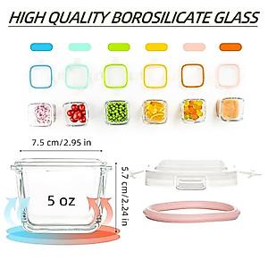 CZUMJJ 5 oz Square Glass Food Storage Containers Set of 24, Small Containers with Locking Lids, Airtight Glass Food Jars for Food Portion, Snacks | Freezer, Microwave & Dishwasher Safe