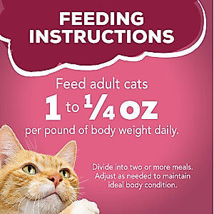 Purina Friskies Gravy Wet Cat Food Variety Pack, Prime Filets Meaty Favorites - (24) 5.5 oz. Cans