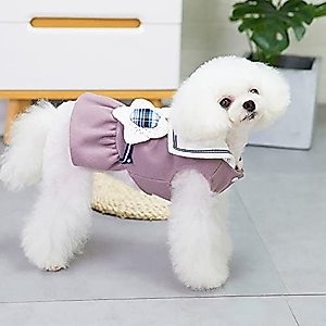 Girl Puppy Outfits Small Pet Clothes Dog Clothes Fall and Winter Clothes New Teddy Small Dog Pet Clothes Winte Back Teddy Sweater