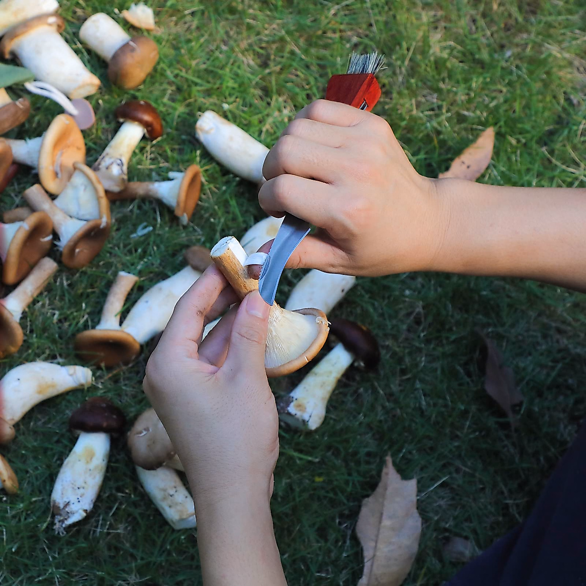 Foxyoo Mushroom Foraging Kit – Includes Foraging Bag, Mushroom Knife with Brush for Mushroom Hunting, Collecting