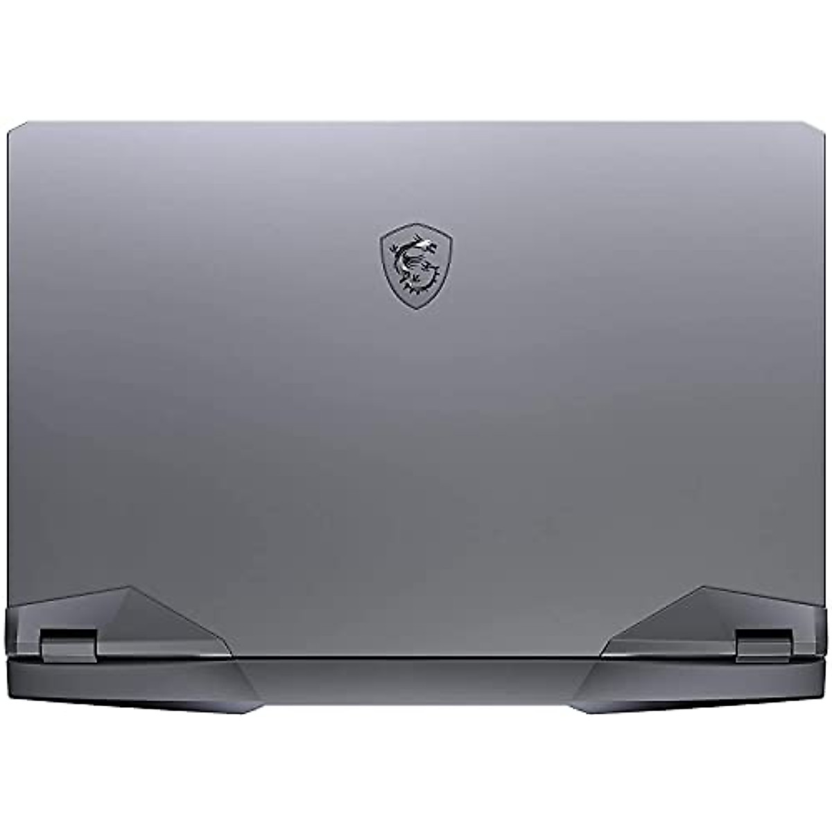 MSI GE76 Raider 17.3" 360Hz FHD Display, Intel Core i9-11980HK, NVIDIA GeForce RTX3080, 32GB, 1TB NVMe SSD, Win10 ,Titanium Blue (11UH-053)