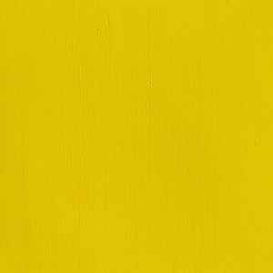 Winsor & Newton Professional Acrylic Paint, 60ml (2-oz) Tube, Cadmium Yellow Light