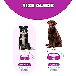 Outward Hound Fun Feeder Slo Bowl, Slow Feeder Dog Bowl, Medium/Mini, Purple