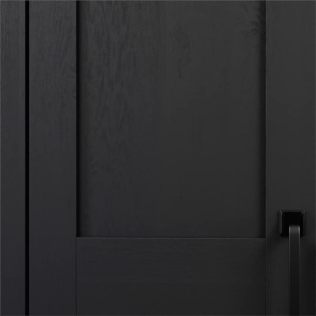 Sauder Engineered Wood 2-Door Storage Cabinet in Raven Oak Finish