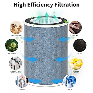 True HEPA Filter Replacement Compatible with WYZE Smart Air Purifier, Special Filter, 1 Pack