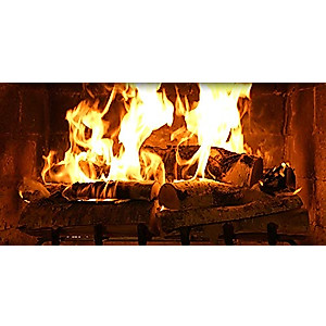 Fireplace For Your Home: Birchwood Fireplace Edition Blu-ray Disc #13