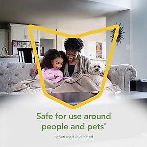 Raid Essentials Ant, Roach & Spider Killer Aerosol Spray, Child & Pest Safe, Kills Insects Quickly, for Indoor Use 10oz