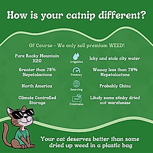 Cat Weed Premium Catnip - All Natural - Maximum Potency Cat Nip - Sprinkle On Your Kittens Favorite Toy Scratch Pad Or Other Refillable Cat Toys - Your Kitty Will Love You
