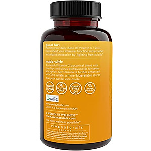 Vitamin C with Zinc (250 Veggie Capsules) - Vitamin C 1000mg and Zinc 20mg with Citrus Bioflavonoids and Rose Hips, Immune Support Supplement and Powerful Antioxidant