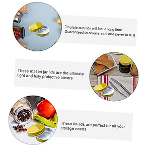 SHOWERORO 12Pcs Leakproof Tinplate Mason Jar Lids Sealing Caps for Bottles Storage Solid Covers for Canning and Preserving Fits Standard Jars