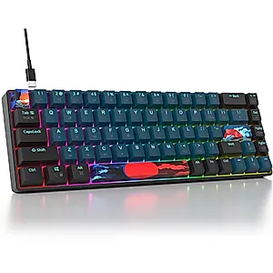 Ussixchare 65 Percent Mechanical Gaming Keyboard 68 Keys RGB Gaming Keyboard with Red Switch Wired Keyboard for Windows PS4/5 Xbox Gamers(68 Monster)