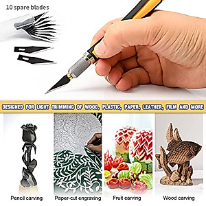 NEWISHTOOL Precision Hobby Knife Set Utility Exacto Knife Set with 10 PCS Fine Point Razor Art Knife Tool for Architecture Modeling, Pumpkin Cutting, Scrapbooking, Wood Working Stencil