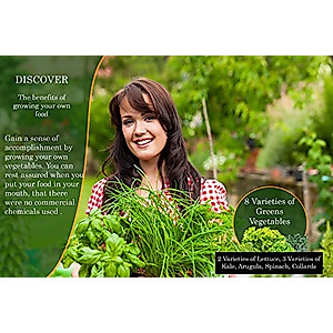 Heirloom Lettuce Mix and Greens Garden Seeds, 8 Varieties, 5300 Seeds, Hydroponic Seeds, Includes Bibb Butter Lettuce Seeds for Planting, Kale, Arugula Seeds, Spinach, Collards, and More, Non-GMO…