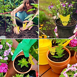 LFSYS 64 Pcs Sticky Traps for gnat, Yellow Stick Traps for Plants, Fungas gnat Traps Double Side with Shovel, Indoor Safe for Gnat, Fruit Fly, White Fly, Aphid, Leaf Miner