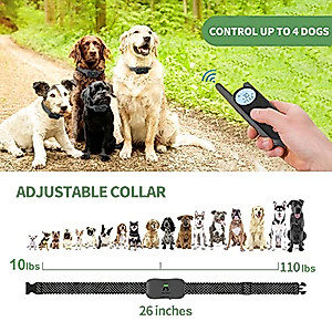 Dog Training Collar with Remote,3/4 Mile Range Dog Shock Collar,Waterproof and Rechargeable with Beep, Vibration, Safe Shock, Light and Keypad Lock Mode for Large Medium Small Dogs (X1 Grey)