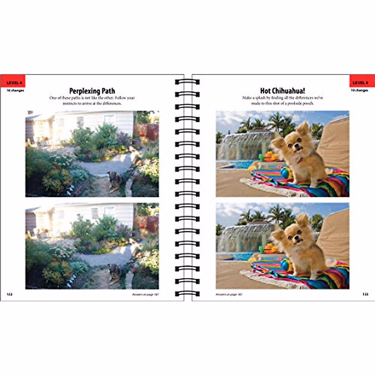 Brain Games - Picture Puzzles: Goes to the Dogs