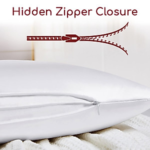 Mellanni Pure Silk Throw Pillowcase - Perfect for Hair and Skin, Preventing Wrinkles - Easy Care - Naturally Cooling Silk Pillow Cover with Hidden Zipper (Throw, White)