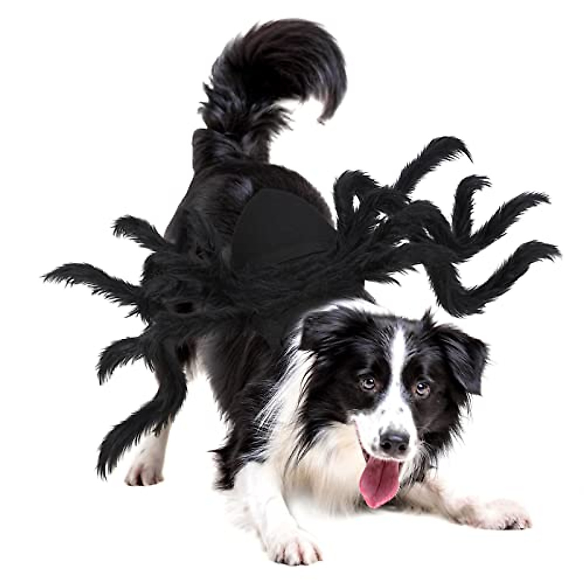 BWOGUE Halloween Pet Costume Spider Cosplay Apparel Dog Cat Spider Costume for Party Costume for Small Medium Dog Costume,Large