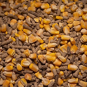 BACKWOODS ATTRACTION BUCKTRIO Deer Feed 50lb. Bag - 18% Protein - Supplemental Feed