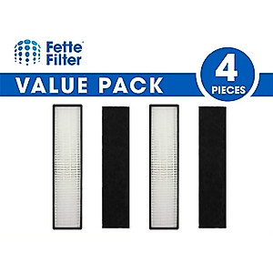 Fette Filter - True HEPA Filter 2 Pack Compatible with FLT5000 FLT5111 AC5000 Series, Filter C - Compatible with AC5250PT AC5300B AC5350 AC5350B AP2800CA - Pack of 2