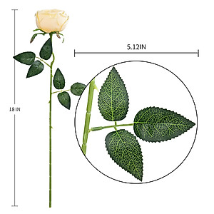 Coferset Princess Silk Rose Flowers Long Stem Artificial Melaleuca Rose Flower for Home Wedding Decor, Pack of 10 (Light Champagne)