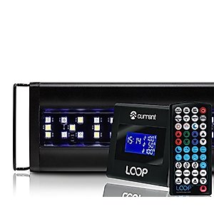 Current USA Orbit Marine LED Light, 24"-36" | With LOOP IR Controller for Wireless Lighting & Wave Pump Control (4101)