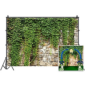 Leyiyi 10x8ft Spring Garden Leaves Backdrop Gardening Plants Grunge Stone Wall Greenery Banner Vane Branch Cover Vintage Architecture Photo Background Wedding Kids Birthday Photo Studio Vinyl Prop