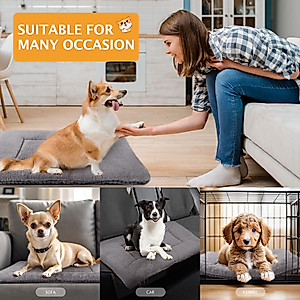 Vetasac Reversible Dog Bed Mat with Plush and Corn Velvet,Soft Warm Pet Cushion, Dual Purpose Washable Sleeping Mattress Bed for Small Medium Large Dog and Cat XB004 (24"x18", Light Grey)