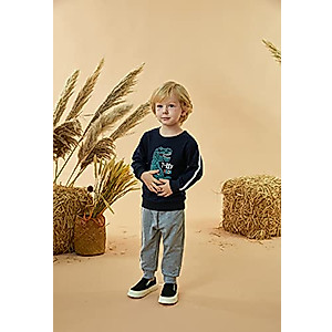 HIHA Dinosaur Outfits Boys 12-18 Months T-Rex Dinosaur Clothes Toddler Boy Sweatsuit Long Sleeve Navy Sweatshirts Grey Jogger Pants Set Little Boys Fall Winter Outfits(Gray, 12-18 Months)