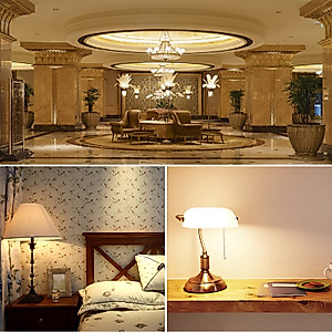 WeshLMPO G9 Bulb 12 Pack, 120V 25W Dimmable G9 Halogen Light Bulbs 2 Pin Base JCD Type, for Range Hood Light, Chandeliers, Pendants, Cabinet Lights, 2700K Warm White