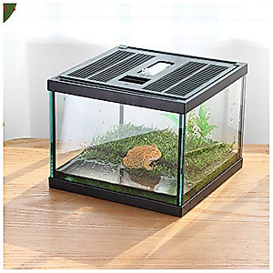crapelles Pac Frogs Glass Terrarium Feeding kit Tank, Waterproof,for Small Amphibians, Insect, Horned Frogs. Waterweed / Prairie Style Habitat,with Green Artificial Turf Pad, (excluding Animals)