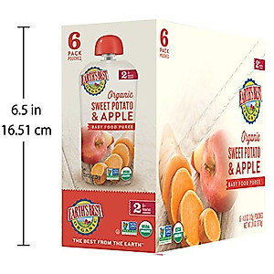 Earth's Best Organic Stage 2 Baby Food, Sweet Potato and Apple, 4 oz. Pouch (Pack of 12)