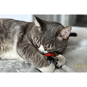 TOYGENICS - Doobie Catnip Toys for Indoor Cats w/Crinkly, Durable Material & Interactive String Ends for Cat Enrichment & Cat Teeth Cleaning, The Best-Kitten Toys-Cat Toys-Catnip Toy