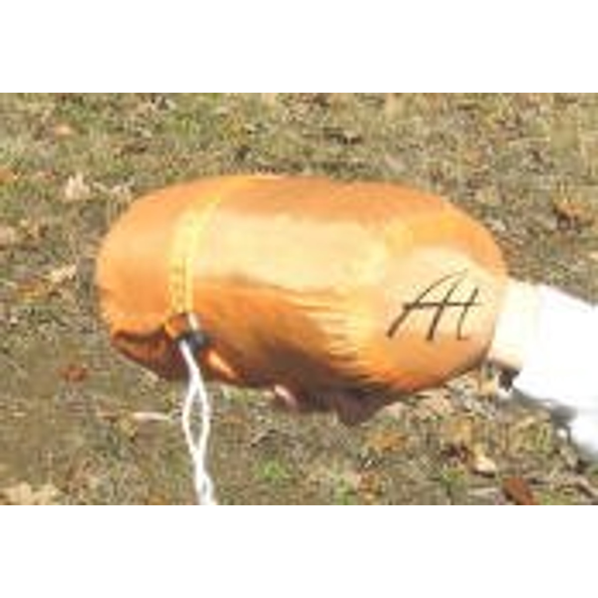 Appy Trails Mark V 4-5 Person Tent