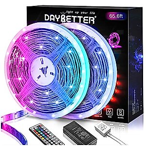 DAYBETTER Led Lights 65.6ft, 5050 RGB Led Strip Lights Flexible Color Changing Remote Control Led Light Strips, 2 Rolls of 32.8ft Led Lights for Bedroom Decor, Living Room Decor, Party Home Decor